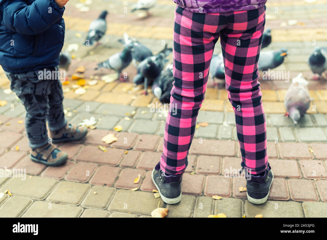 Two little siblings children having fun feeding many pigeons at city ...