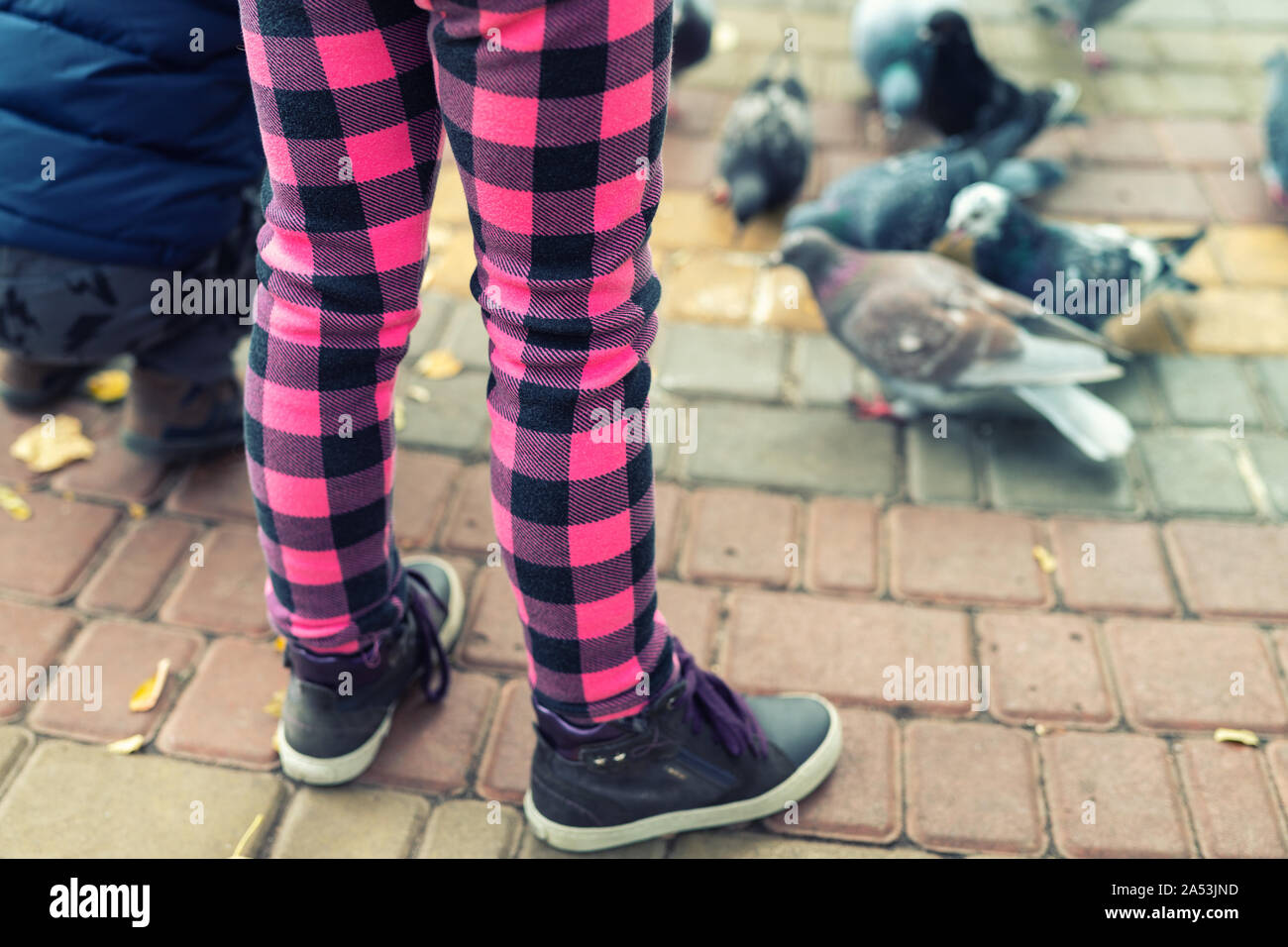 Two little siblings children having fun feeding many pigeons at city ...