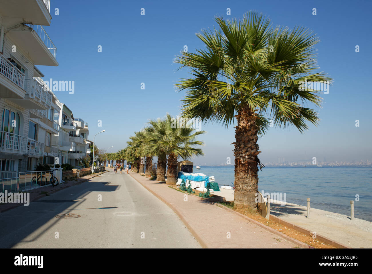 Palm Trees on the Kinaliada coastline (Prince Islands) at Istanbul ...