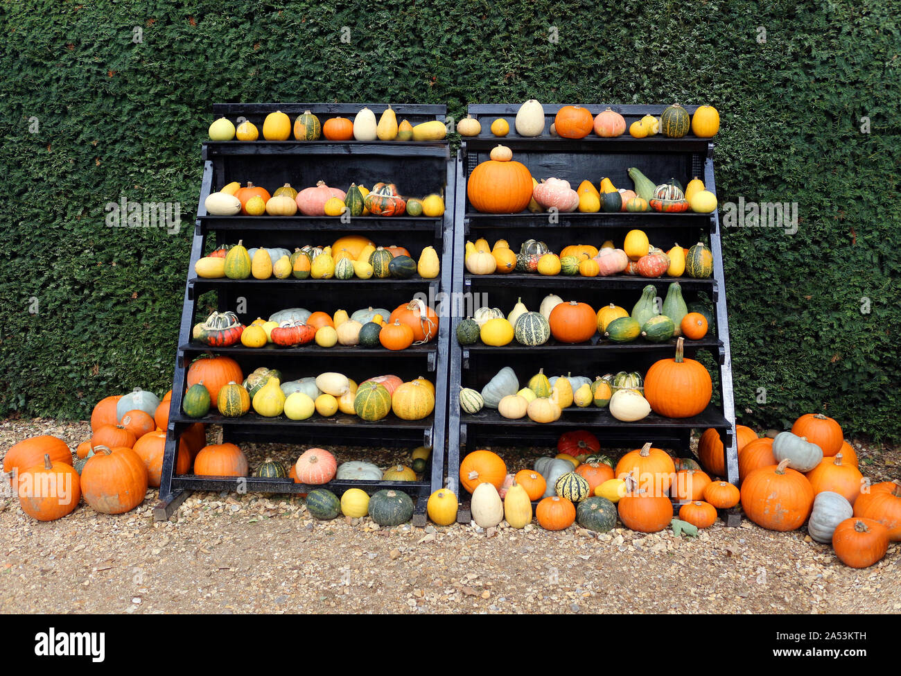 Colourful gourds hi-res stock photography and images - Alamy