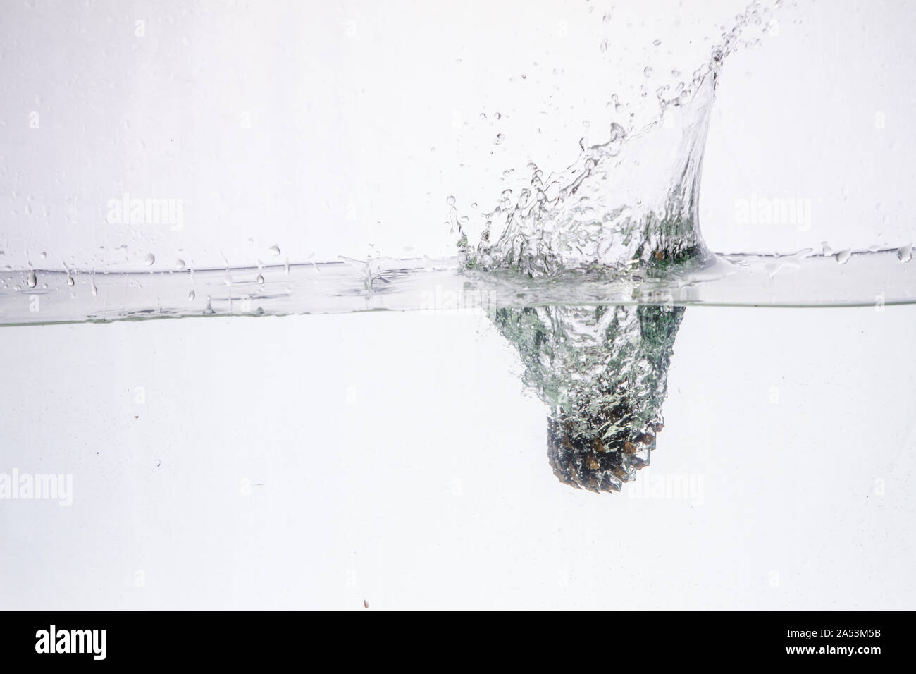 Water Splash Photography: a conifer cone falling in water creating a ...