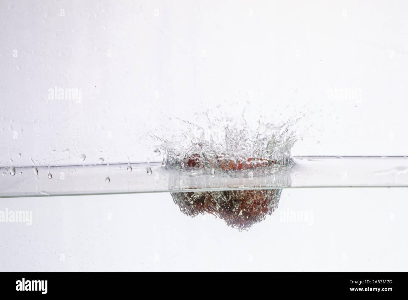 Water Splash Photography: a conifer cone falling in water creating a ...