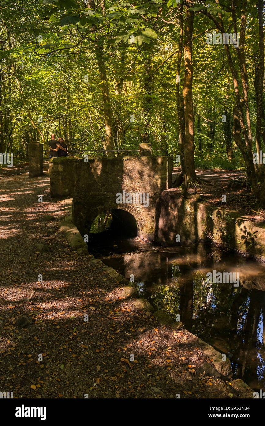 Otter Bridge in Tehidy Country Park, the largest area of woodland in ...