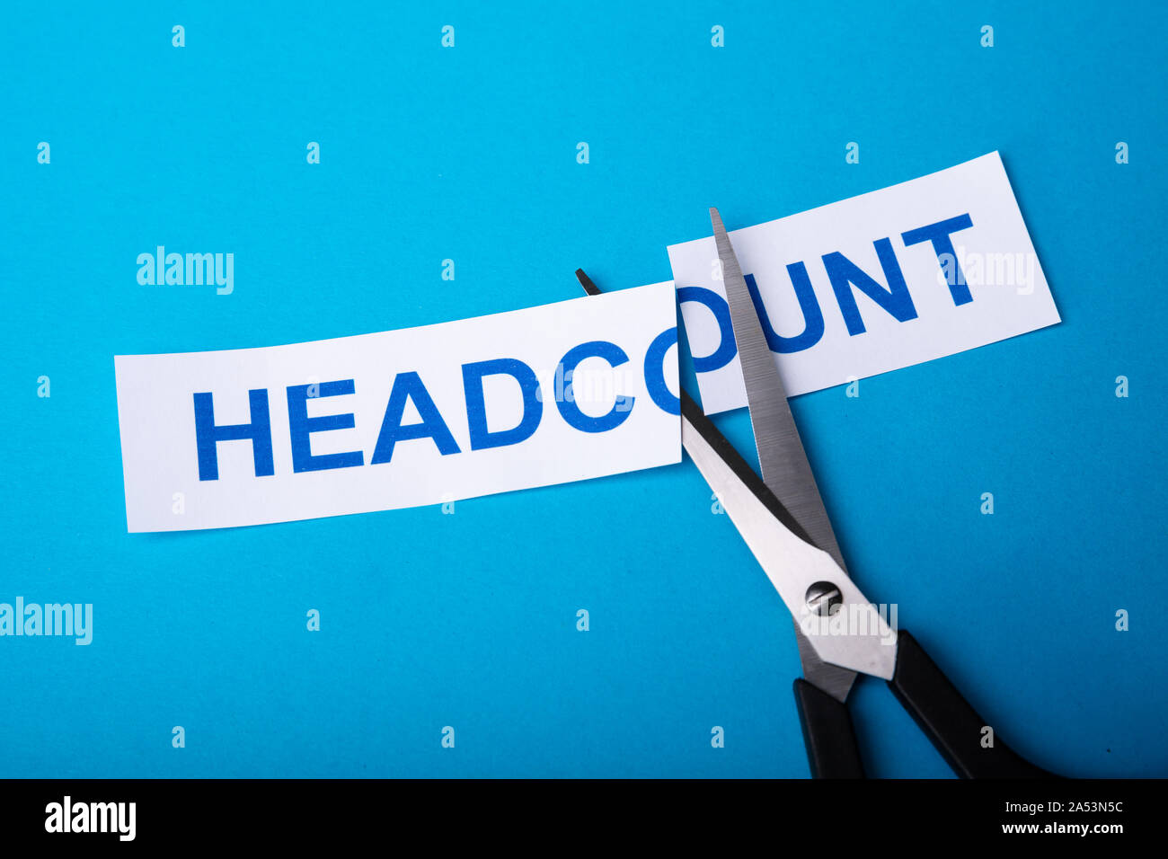 Person Cutting Headcount Using Scissors On Blue Background Stock Photo ...