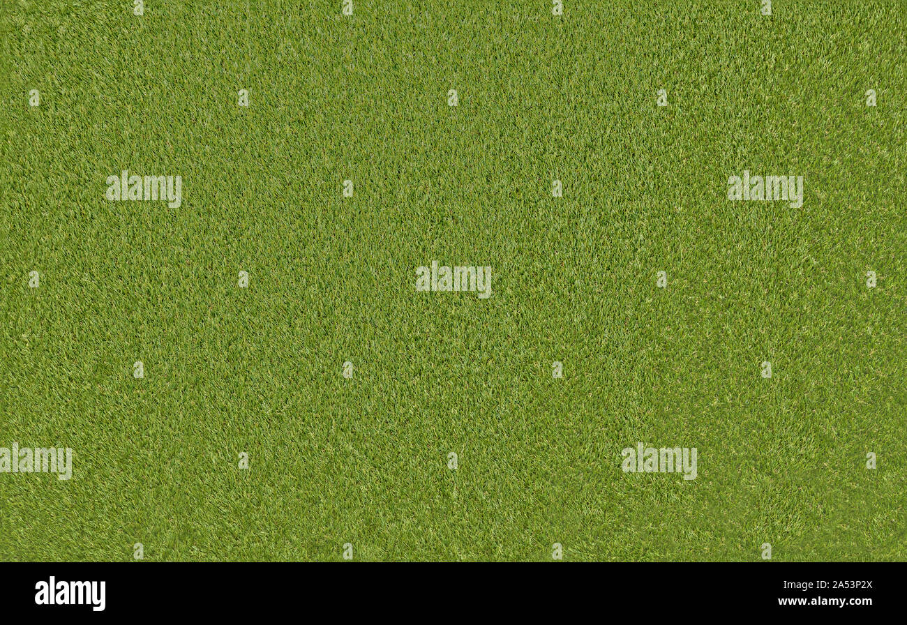 Golf Grass Texture