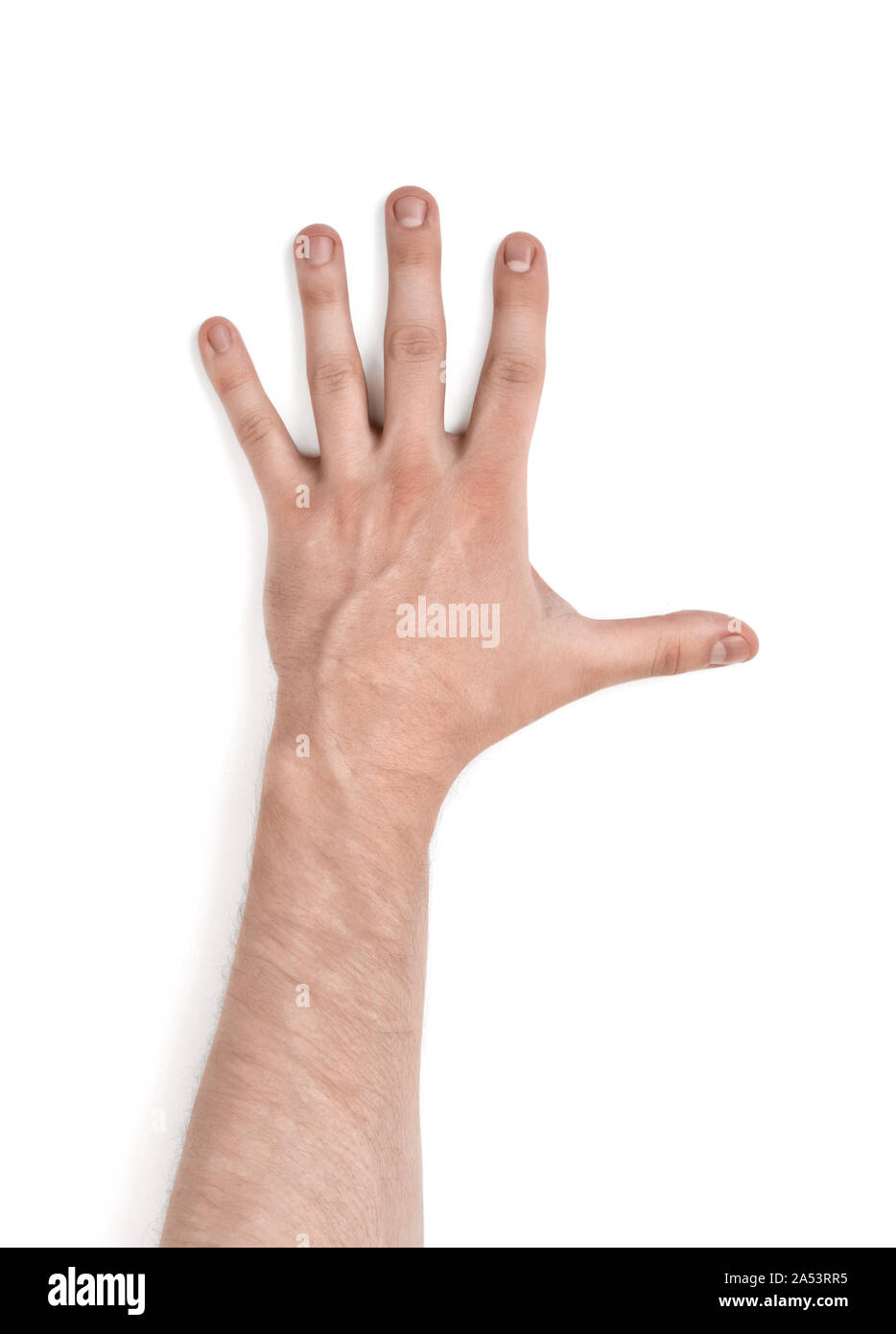 Close up view of a man's hand, isolated on white background Stock Photo ...