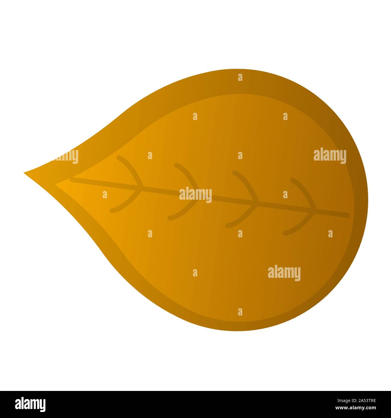 Tree isolated hite background Cut Out Stock Images & Pictures - Alamy