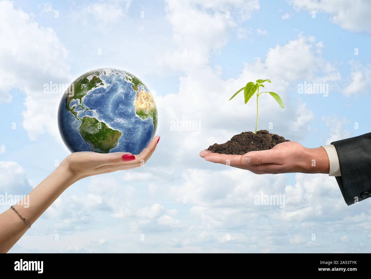 Sprout growing on ground palm and Globe in woman's hand Stock Photo - Alamy