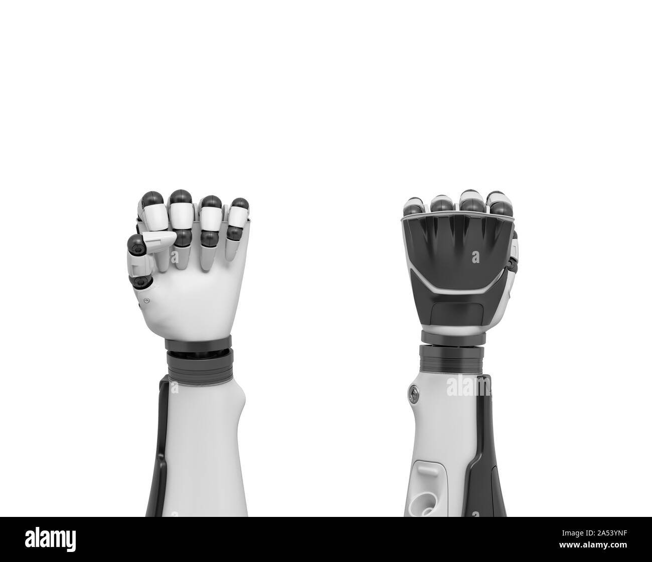 3d rendering of two robotic arms in tight fists shown from the front ...