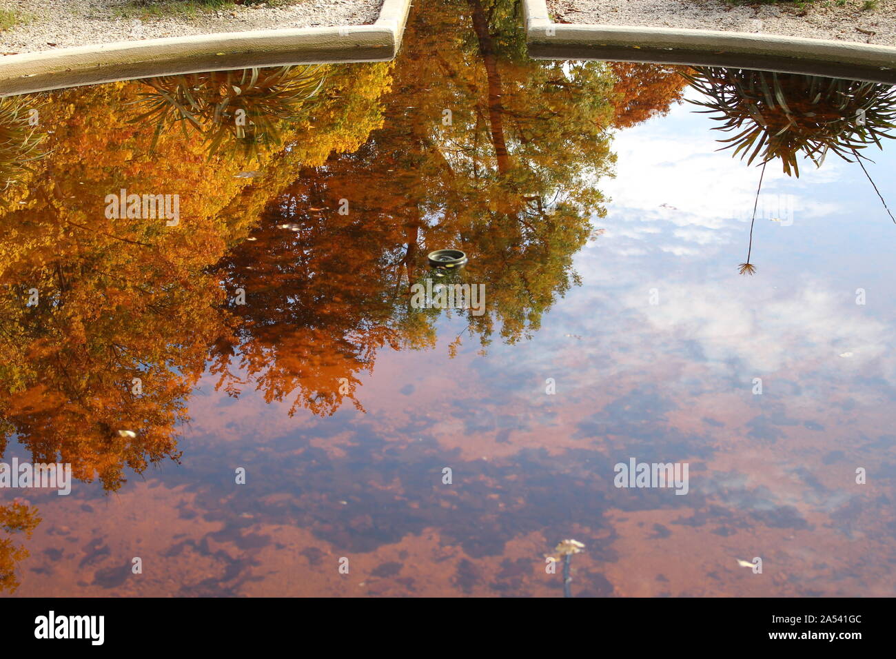 Water fountain reflecting autumn colored trees Stock Photo - Alamy