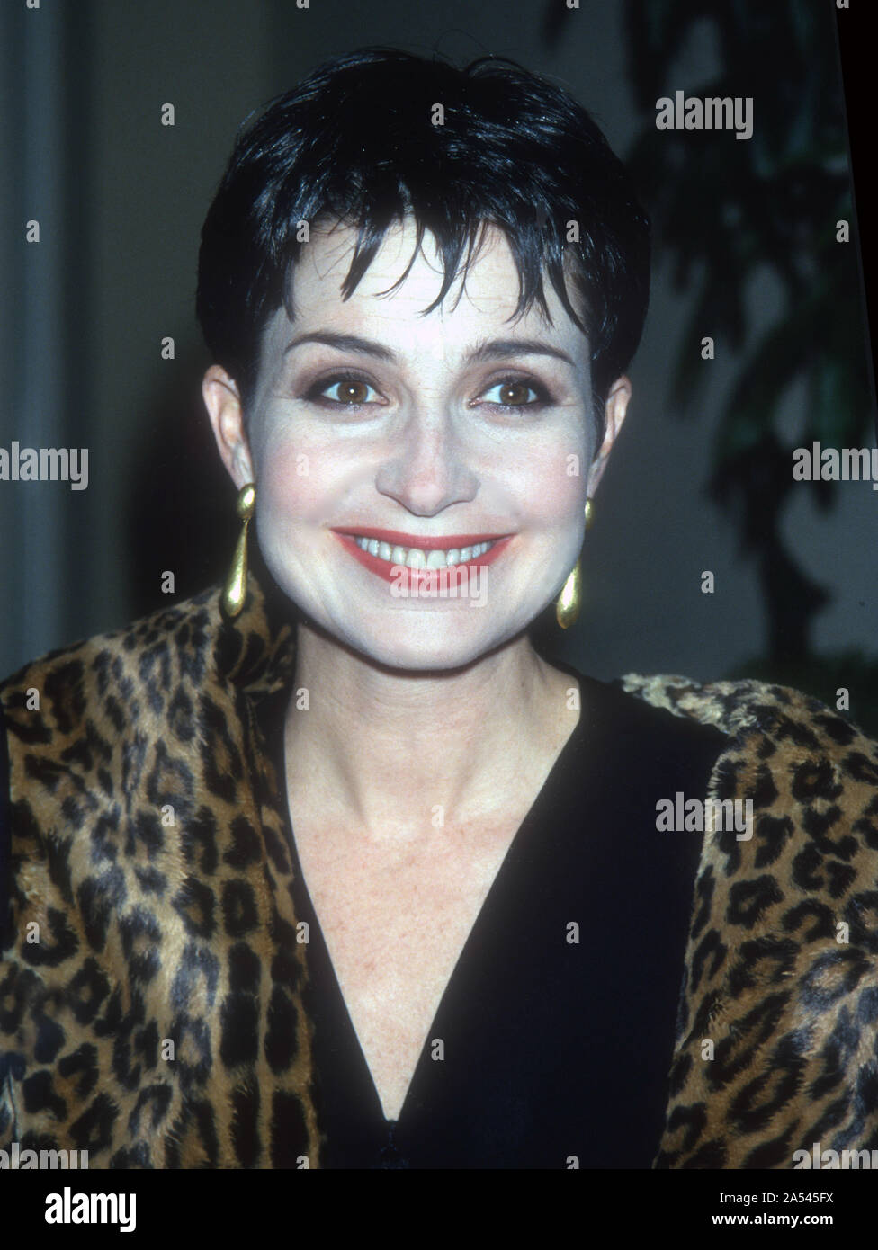 Annie Potts, 1994, Photo By Michael Ferguson/PHOTOlink Stock Photo - Alamy