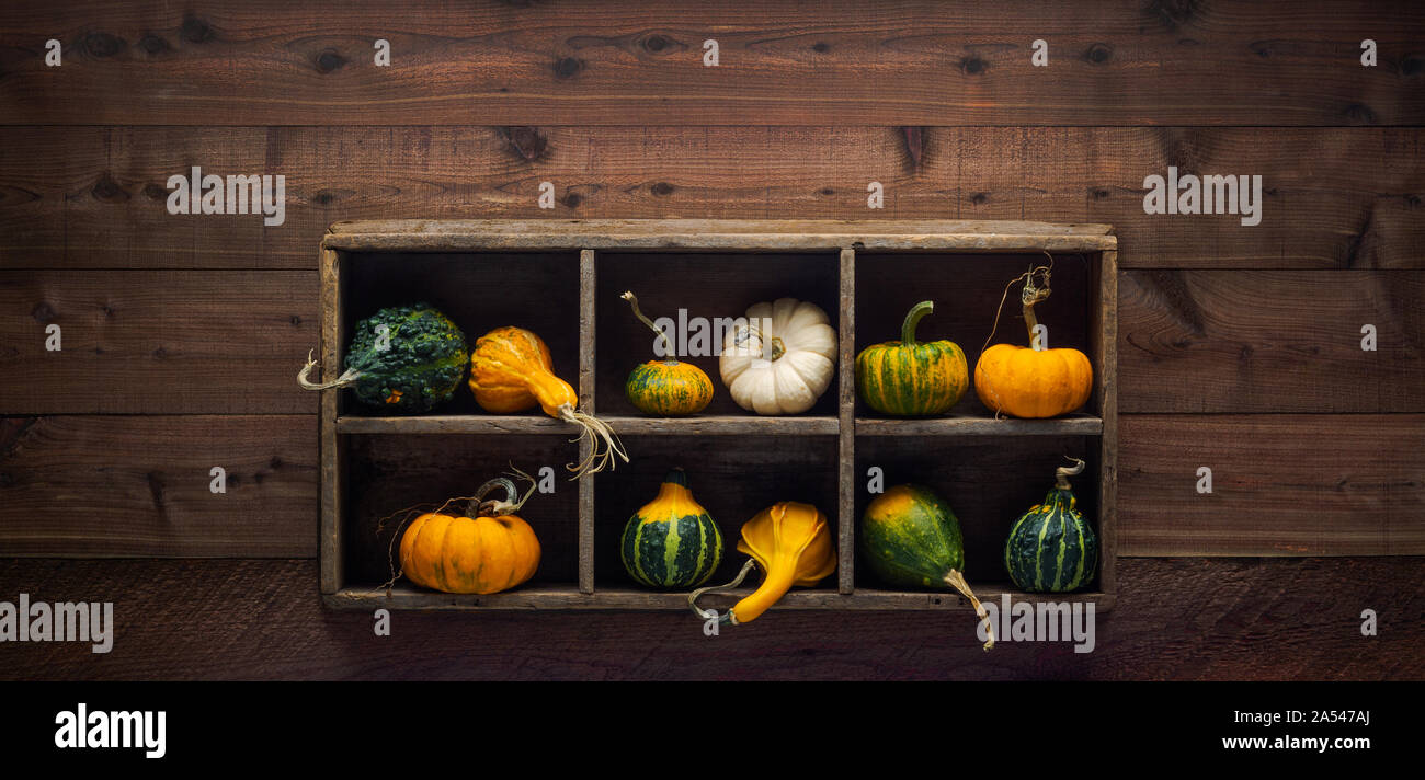 Colorful decorative gourds in a wood storage box mounted on dark wood ...