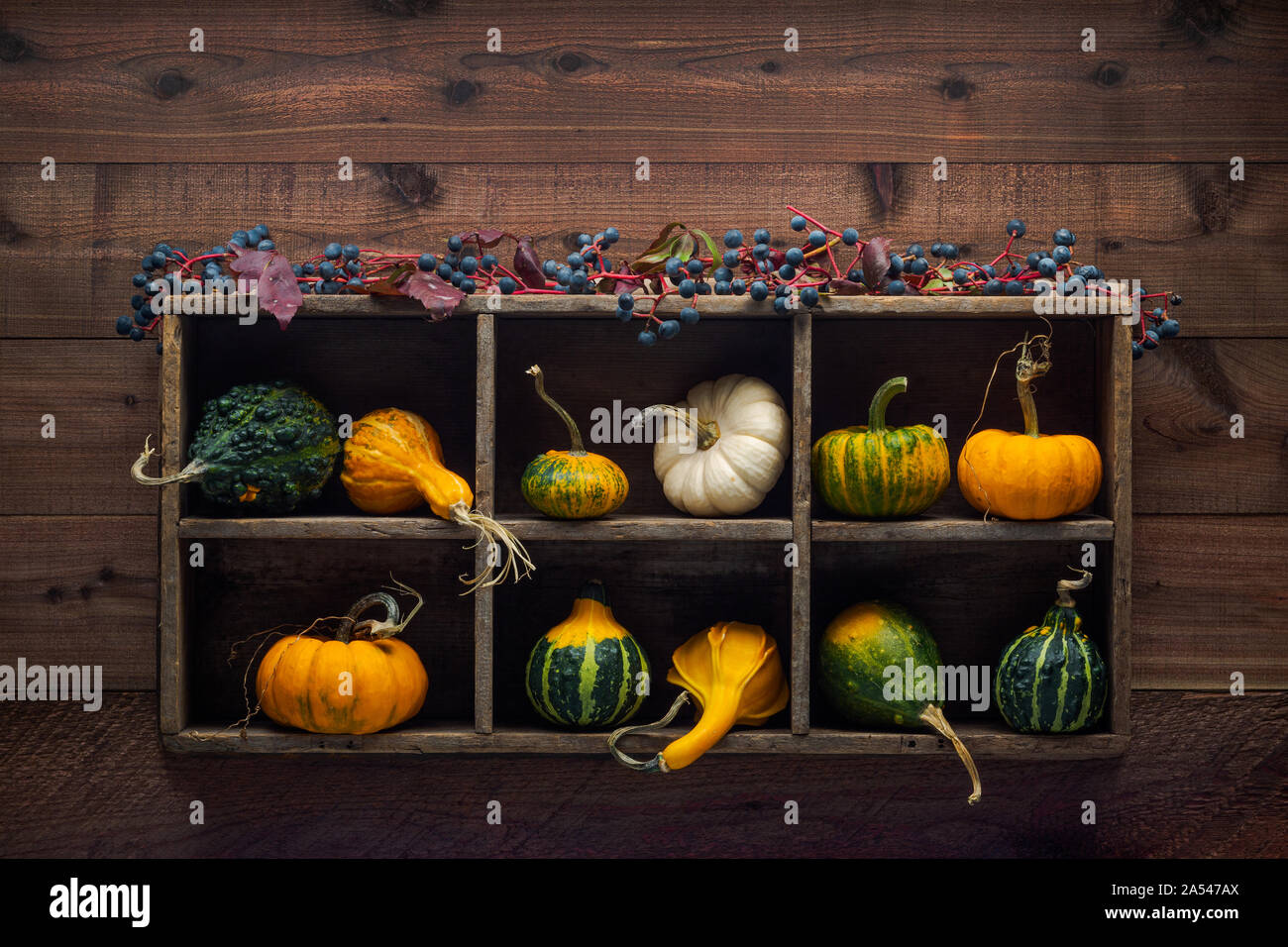 Mounted gourds hi-res stock photography and images - Alamy