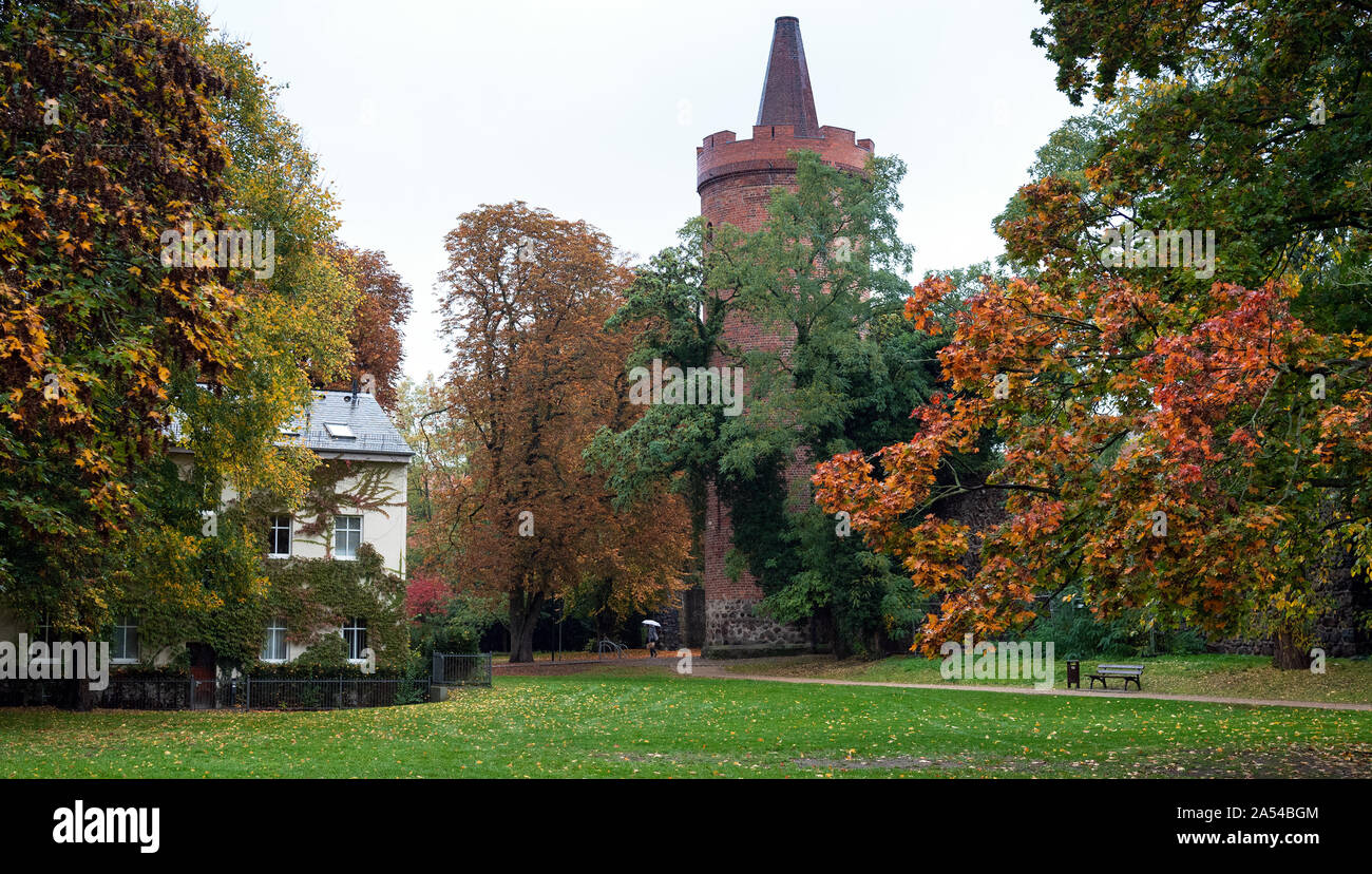 Bernau, Germany. 16th Oct, 2019. A woman with an umbrella walks under ...