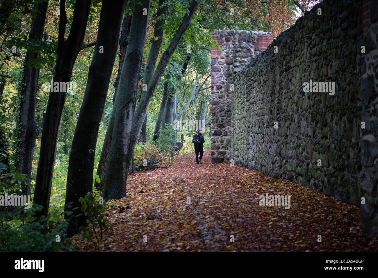 Bernau, Germany. 16th Oct, 2019. A man walks past the city wall in the ...
