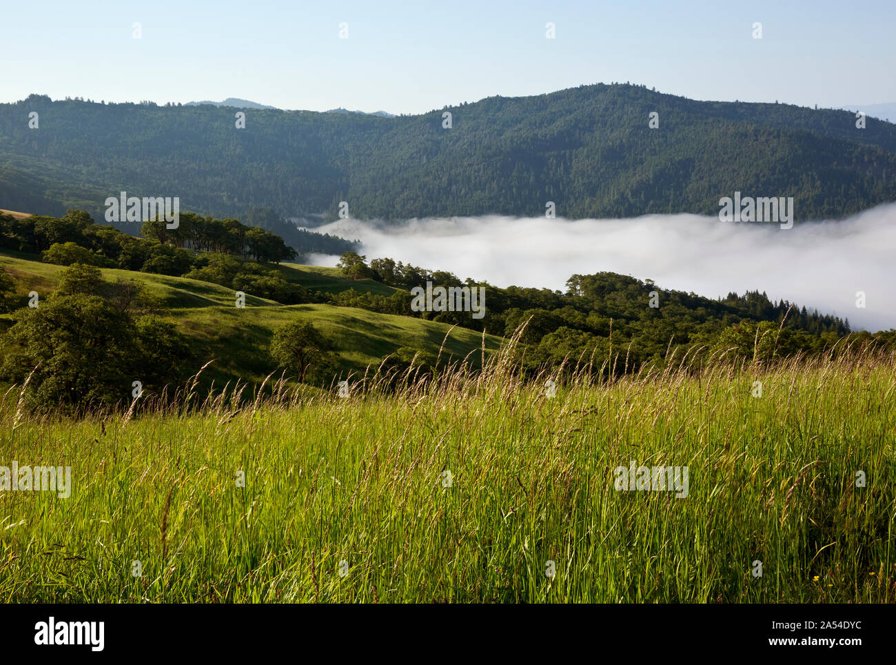 Bald ridges hi-res stock photography and images - Alamy