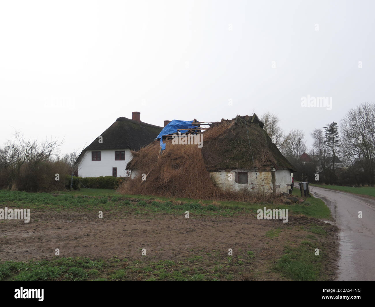 Collapsed thatched roof on farmhouse in southern Denmark Stock Photo ...