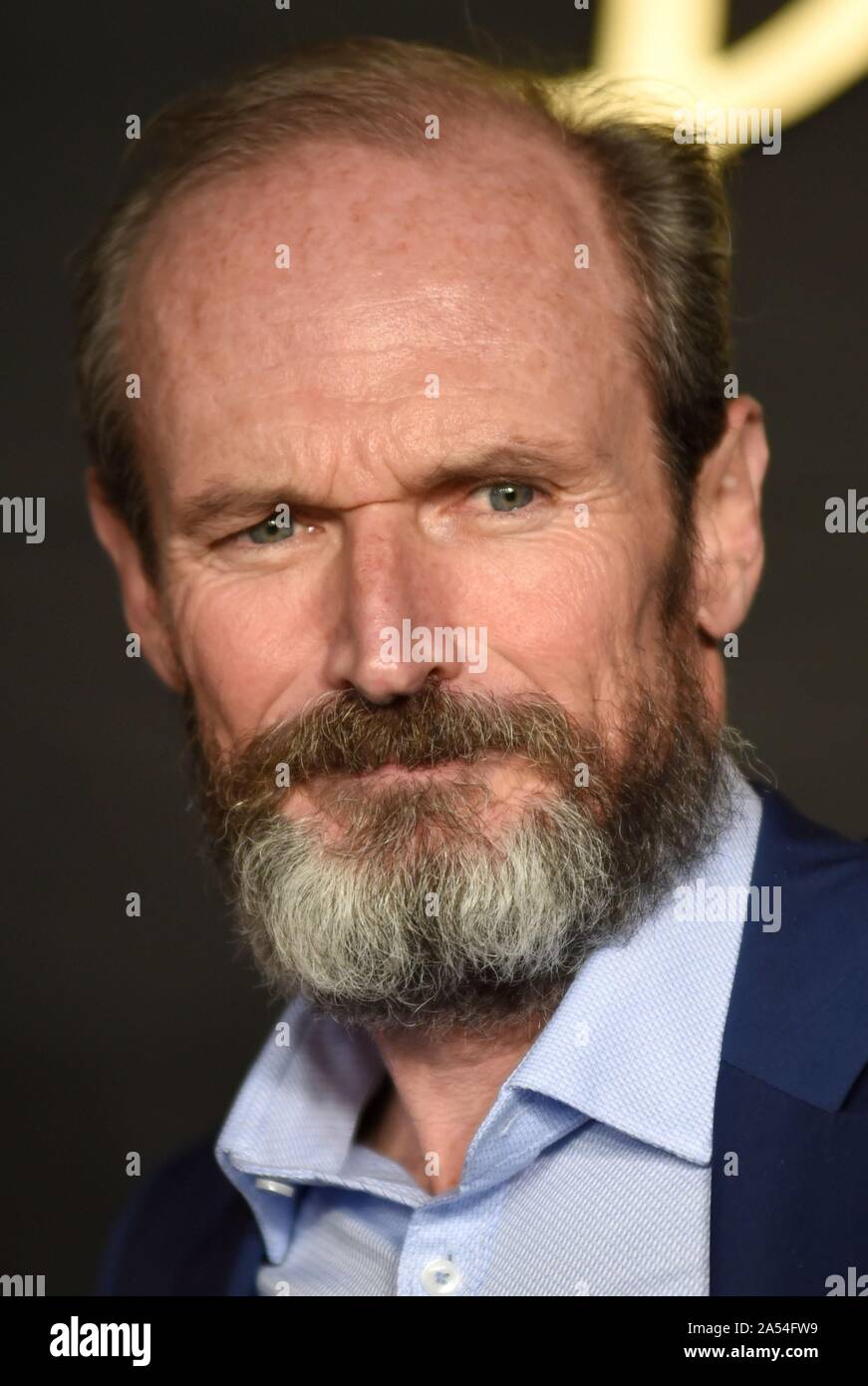 Huss toby hi-res stock photography and images - Alamy