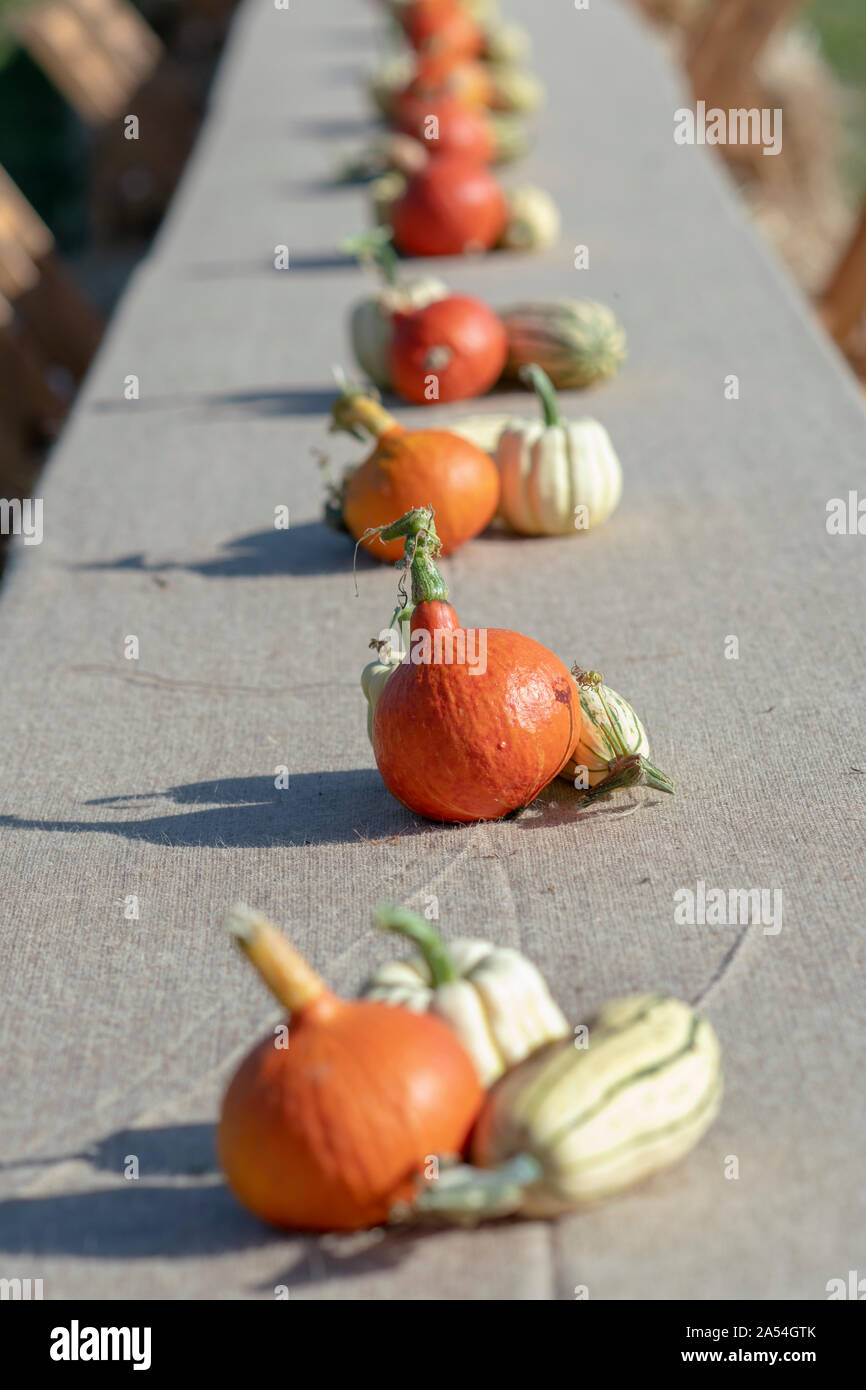 Long table hi-res stock photography and images - Alamy