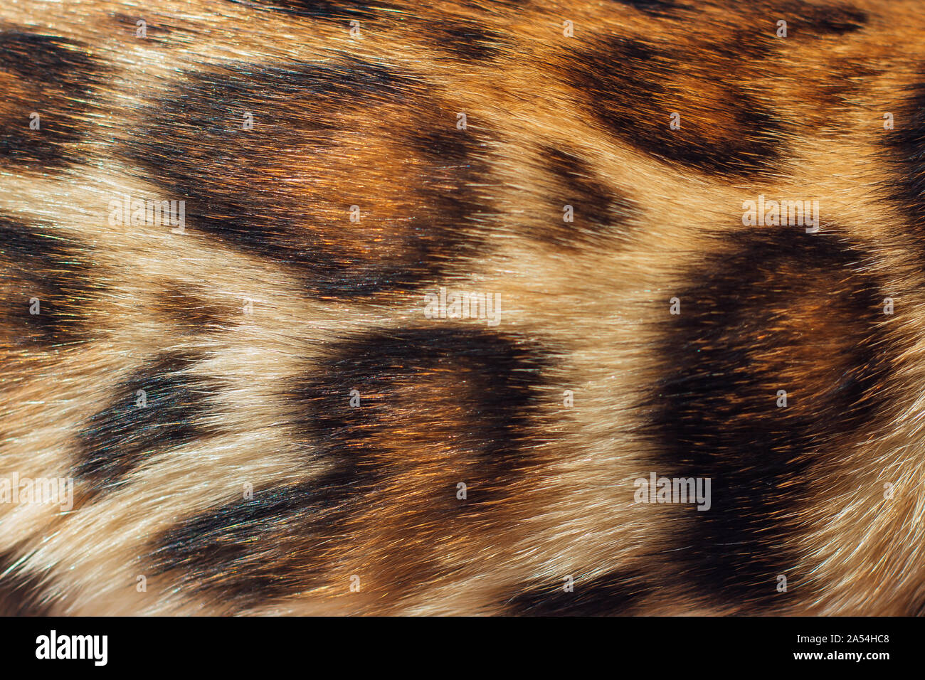 Spoted skin hi-res stock photography and images - Alamy