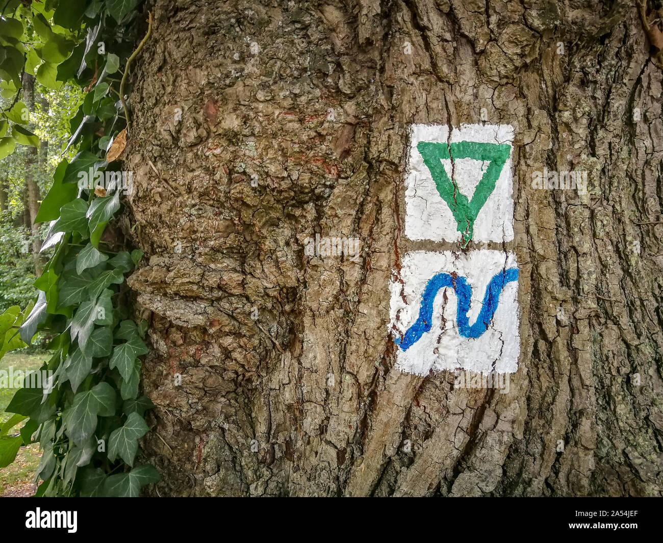 Typical german painted trail markers on a tree showing the direction of ...