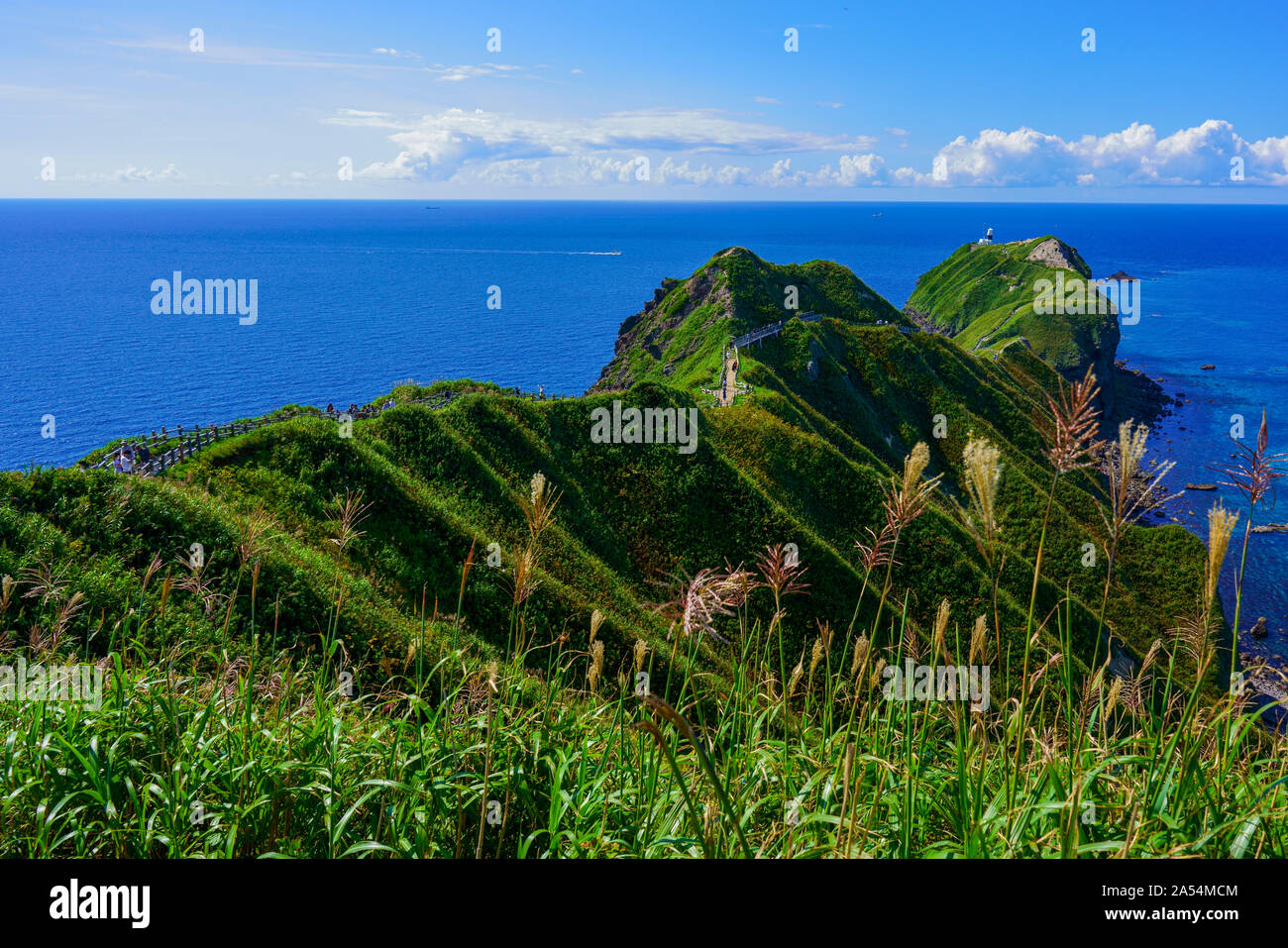 Kamui peninsula hi-res stock photography and images - Alamy
