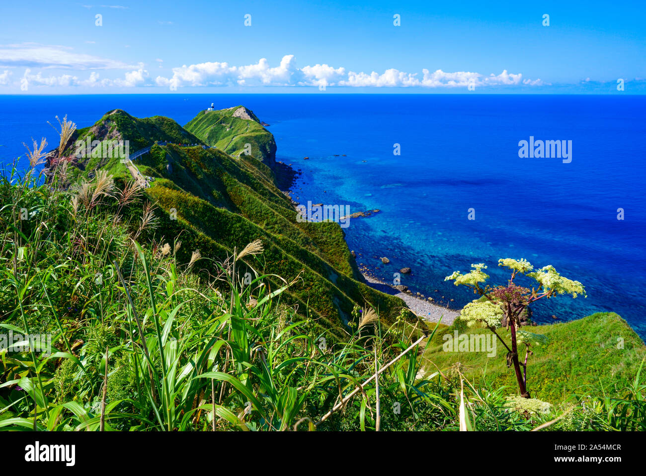 Kamui peninsula hi-res stock photography and images - Alamy