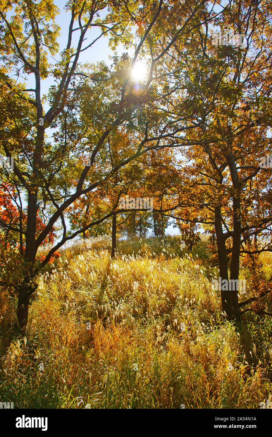 Mazeno Valley, autumn Stock Photo - Alamy