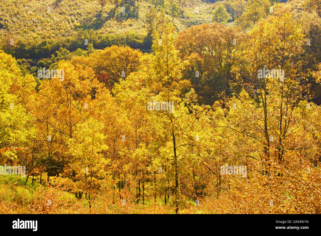 Mazeno Valley, autumn Stock Photo - Alamy