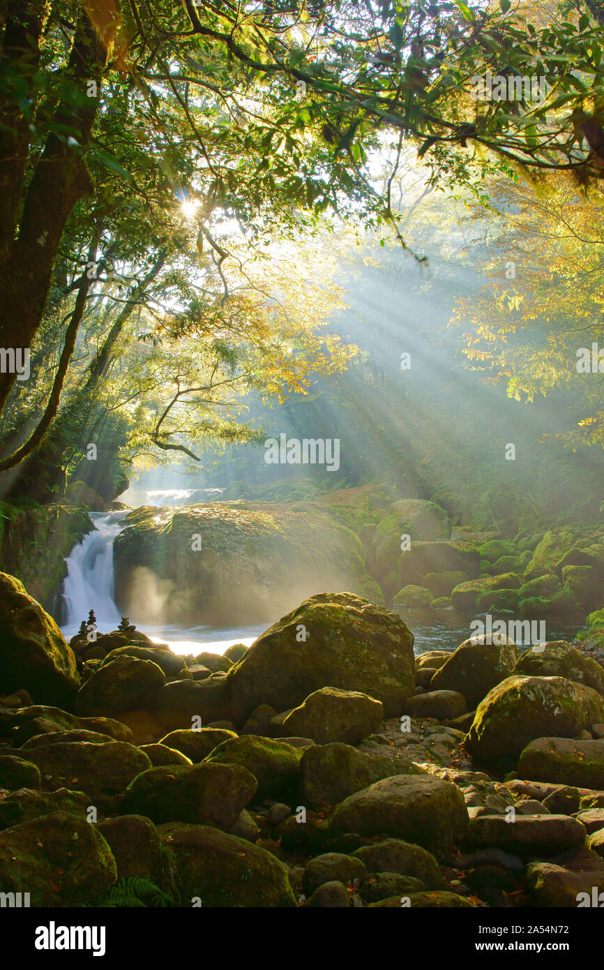 Kikuchi Gorge in Autumn, Kumamoto Prefecture, Japan Stock Photo - Alamy