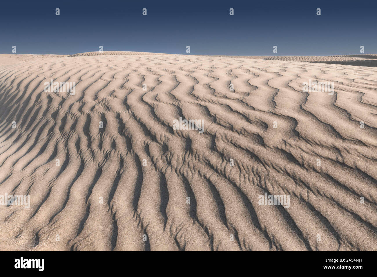 Kutch gujarat sand hi-res stock photography and images - Alamy