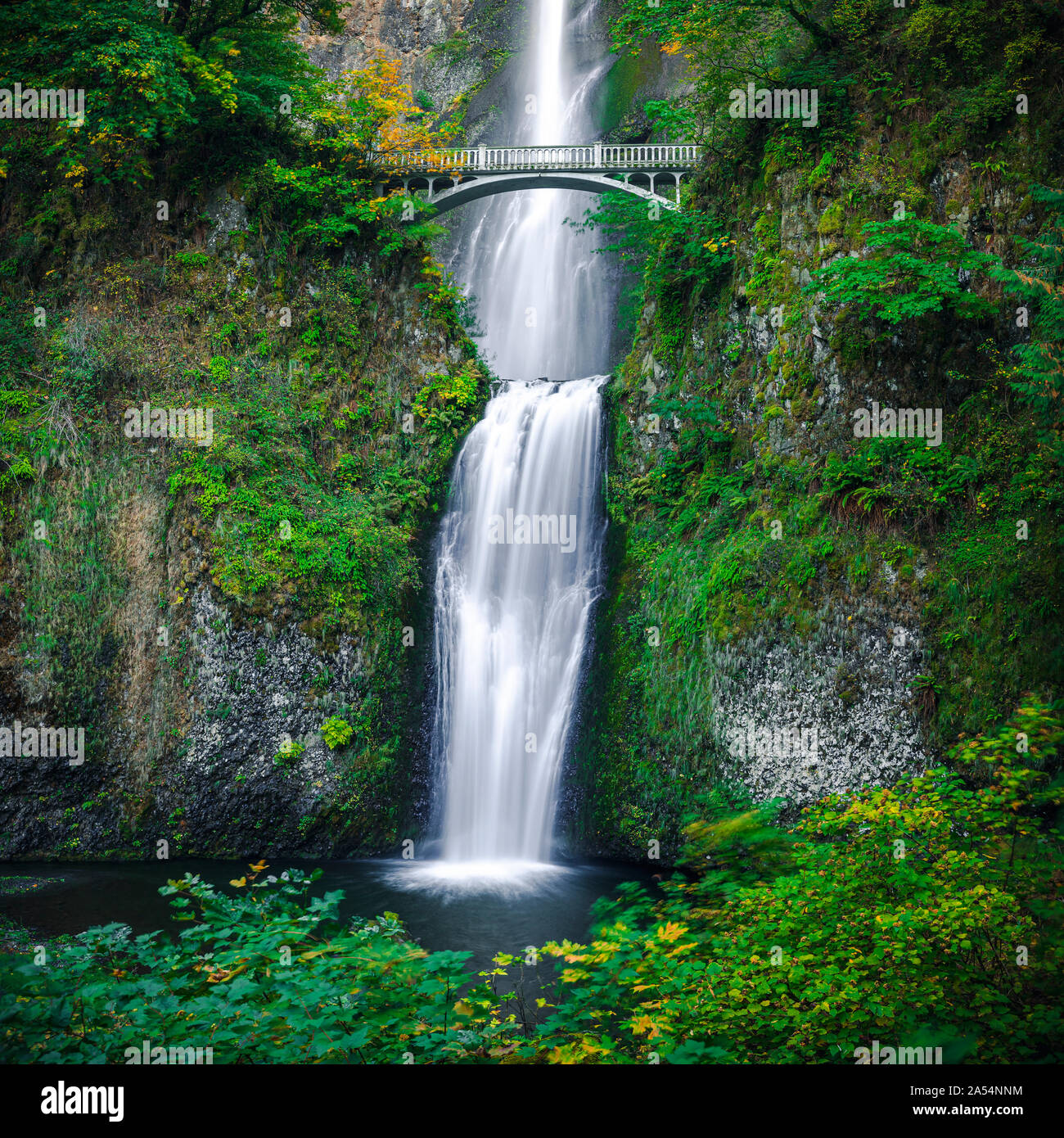 Portland oregon autumn nobody hi-res stock photography and images - Alamy