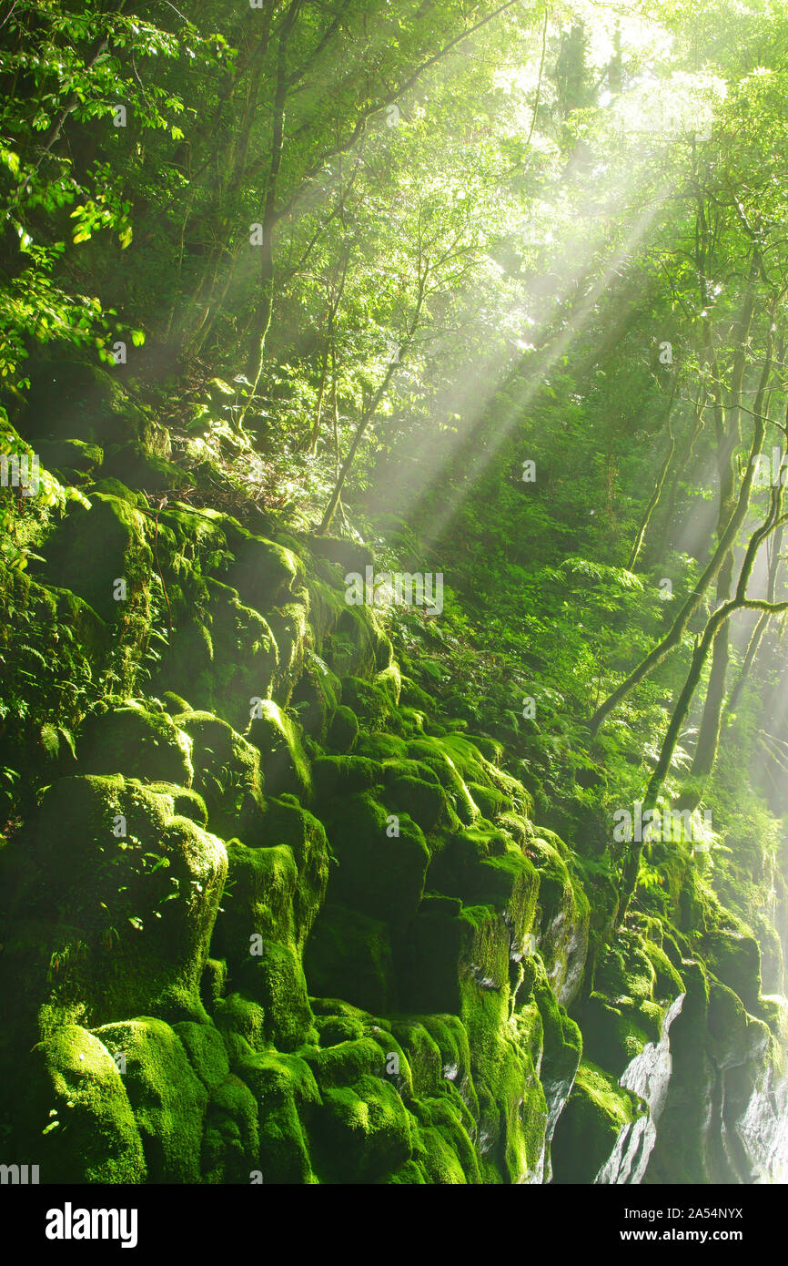 Kikuchi Gorge, Kumamoto Prefecture, Japan Stock Photo - Alamy