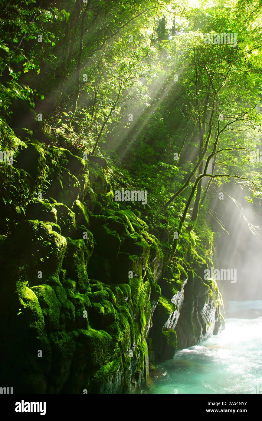 Kikuchi Gorge, Kumamoto Prefecture, Japan Stock Photo - Alamy