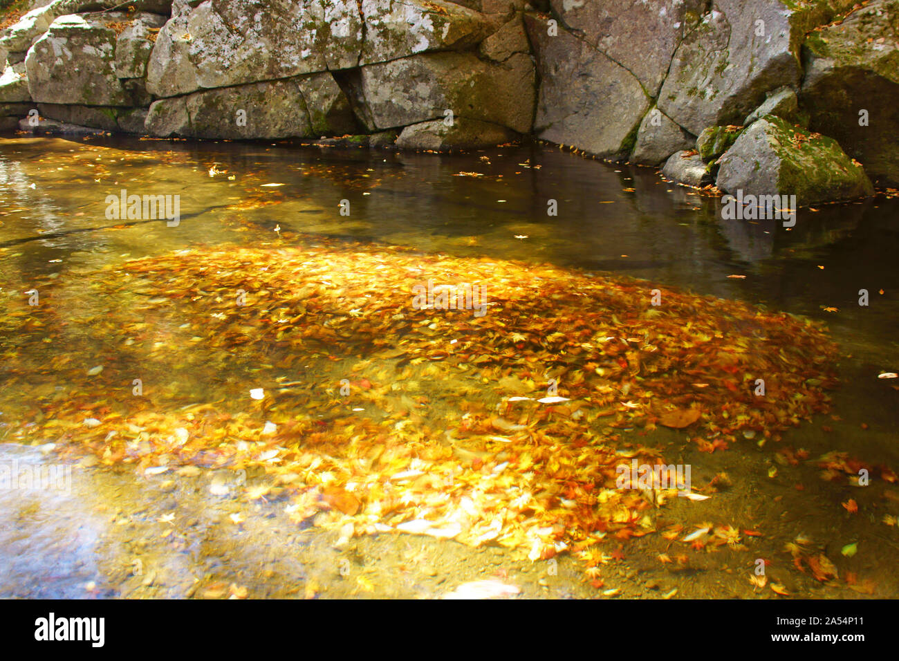 River flowing spring water hi-res stock photography and images - Alamy