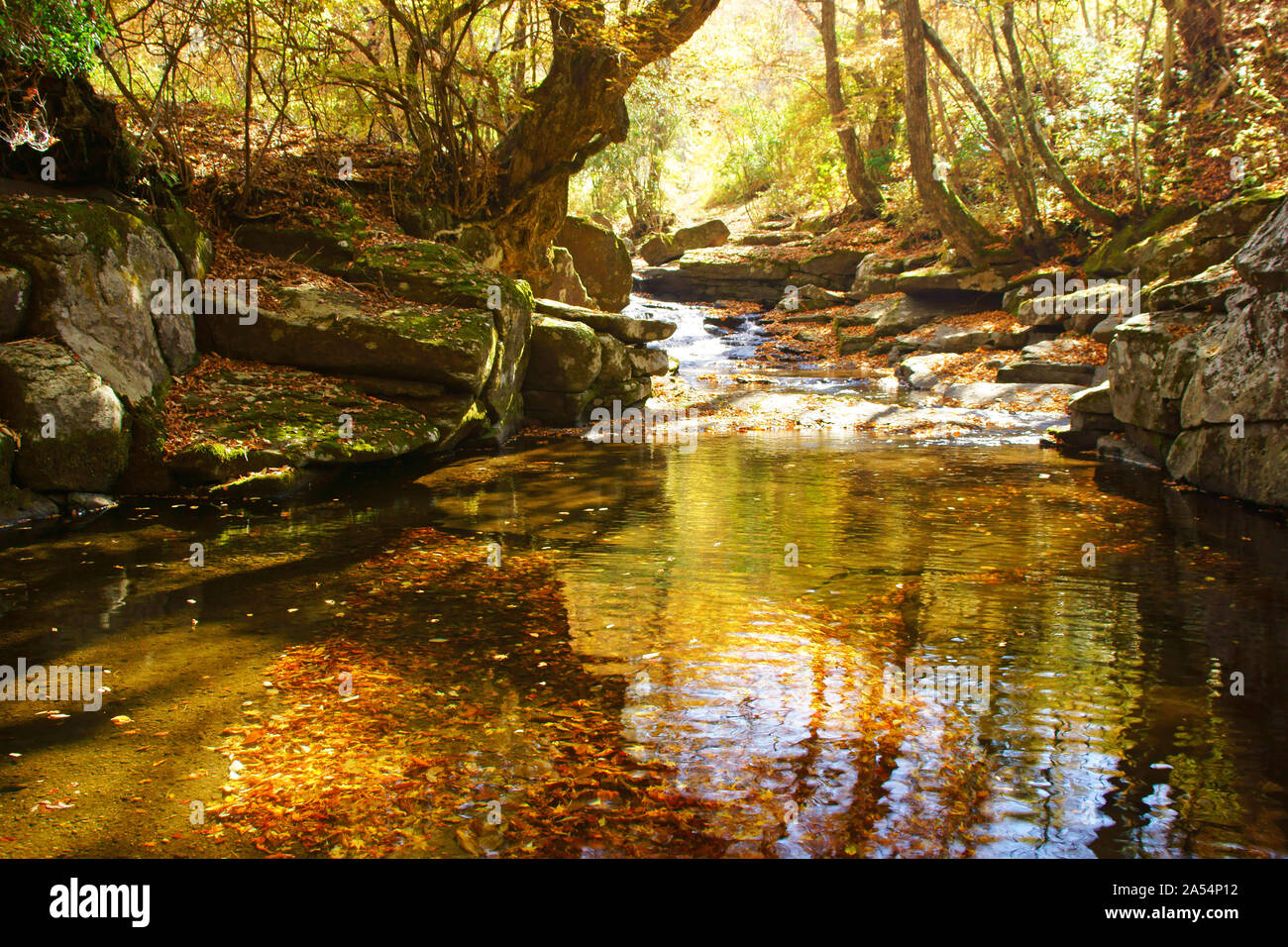 Autumn foliage on the bottom of river flowing spring water Stock Photo ...