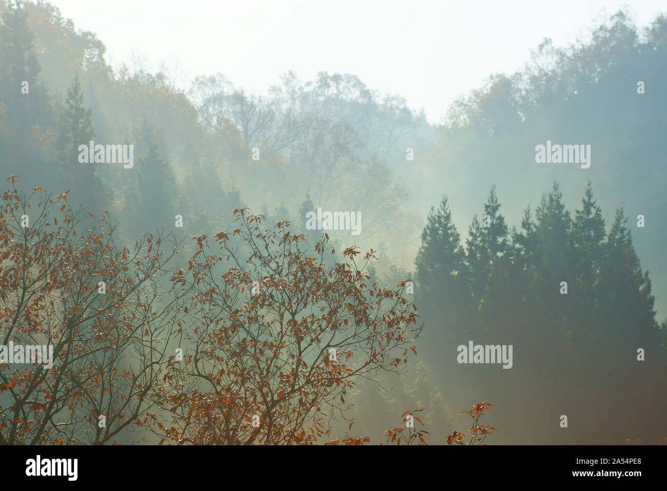 Mazeno Valley, autumn Stock Photo - Alamy