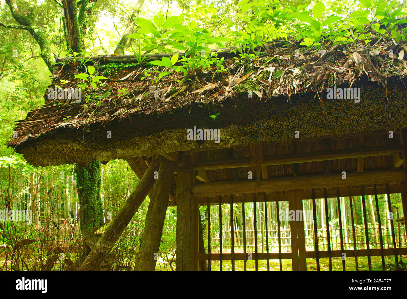 Japanese style arch Stock Photo - Alamy