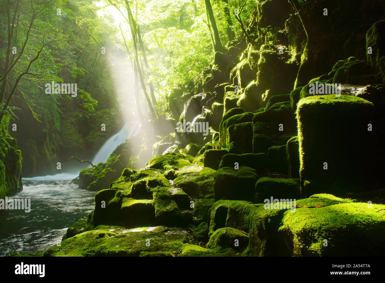 Shaft of light, Kikuchi Gorge, Kumamoto Prefecture, Japan Stock Photo ...