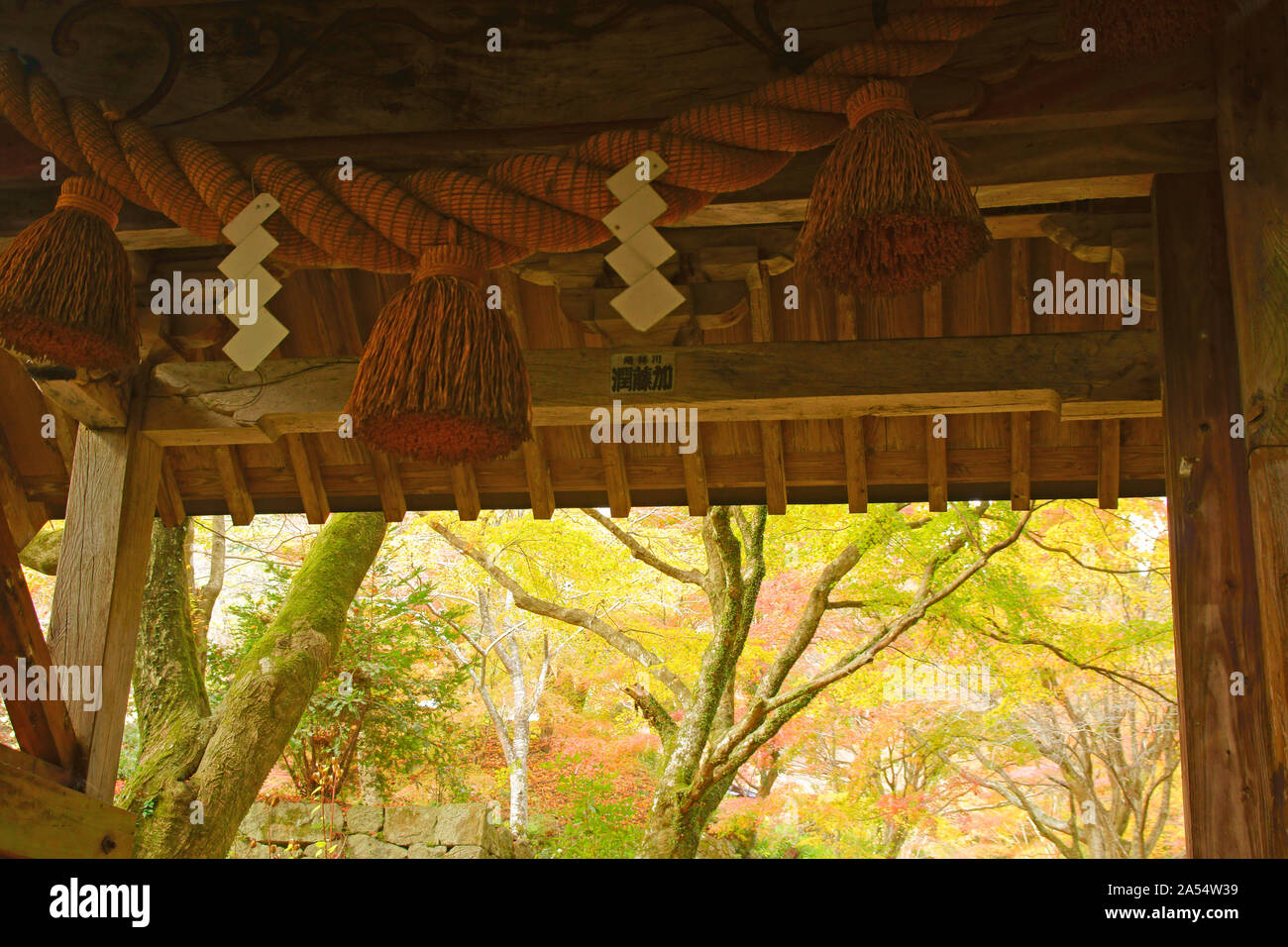 Futagoji temple hi-res stock photography and images - Alamy