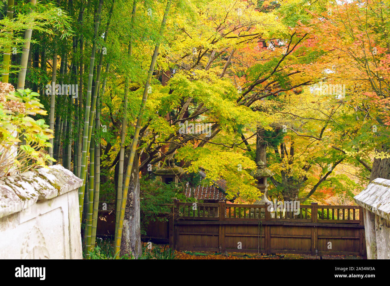 Futagoji temple hi-res stock photography and images - Alamy