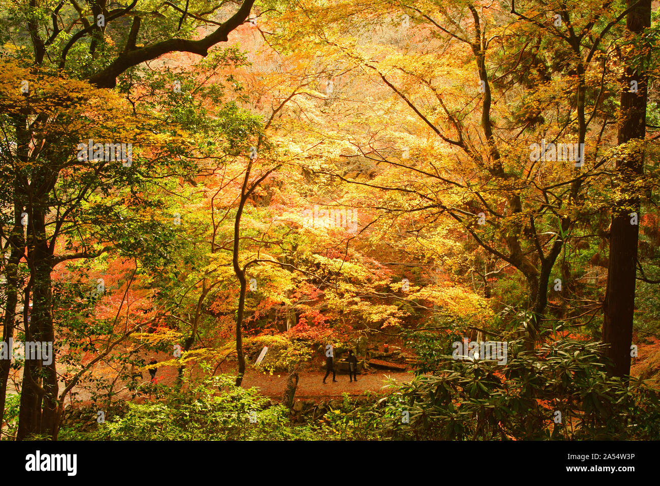Futagoji temple hi-res stock photography and images - Alamy