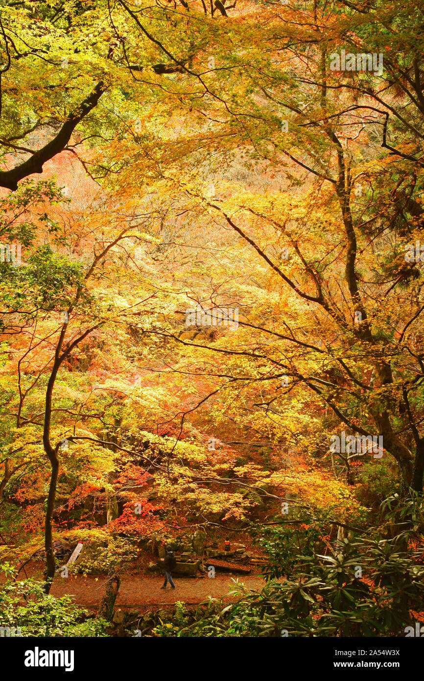 Futagoji temple hi-res stock photography and images - Alamy