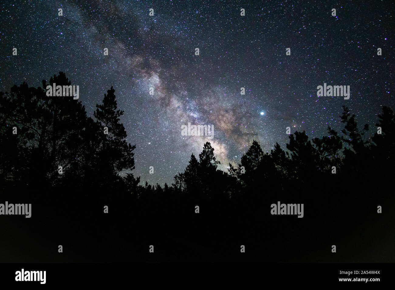 Stars over the forest hi-res stock photography and images - Alamy