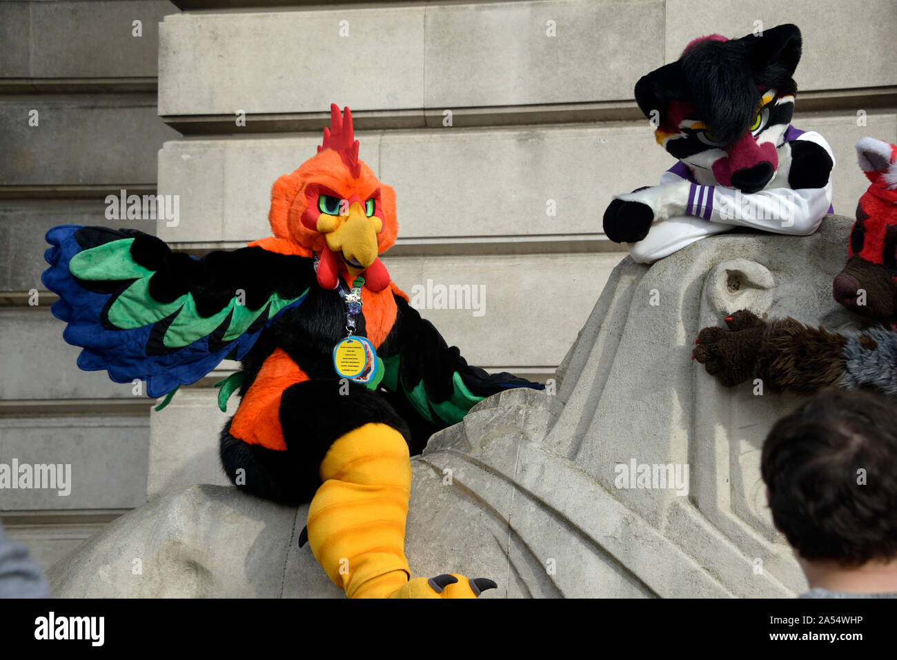 Animal costume hi-res stock photography and images - Alamy
