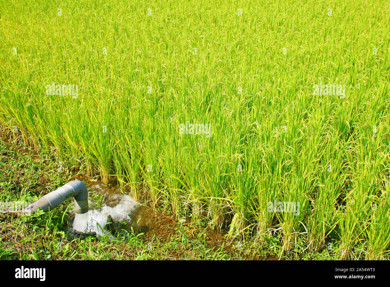 Agricultural water use hi-res stock photography and images - Alamy