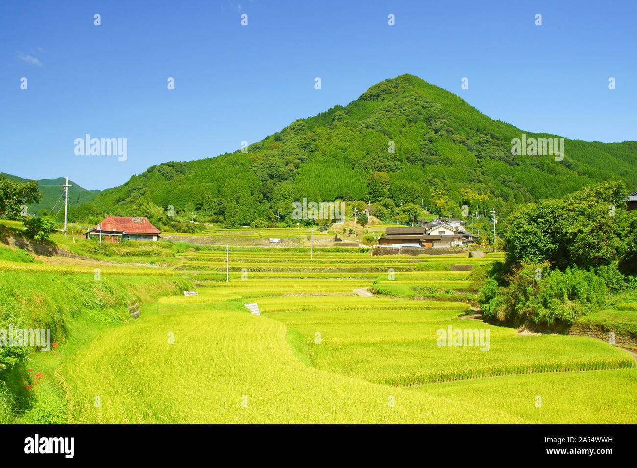 Paddy field kyushu hi-res stock photography and images - Alamy