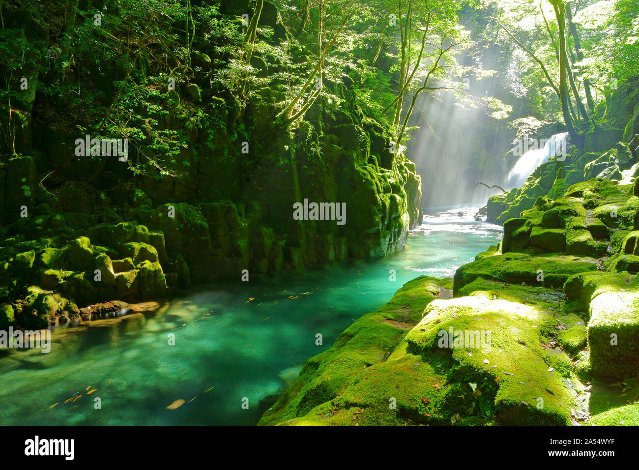 Kikuchi Gorge, Kumamoto Prefecture, Japan Stock Photo - Alamy