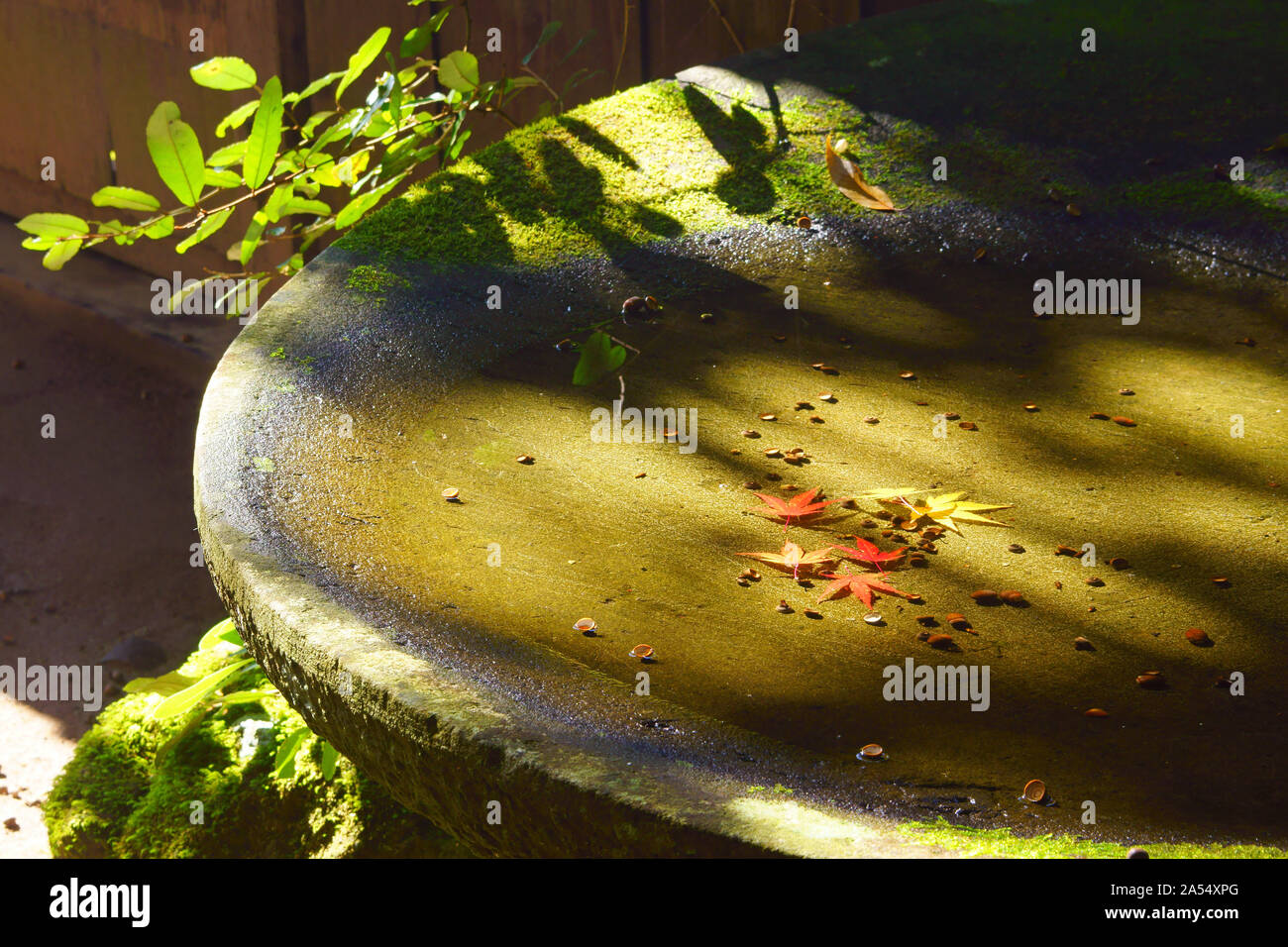 Japanese hand washing bowl Stock Photo - Alamy