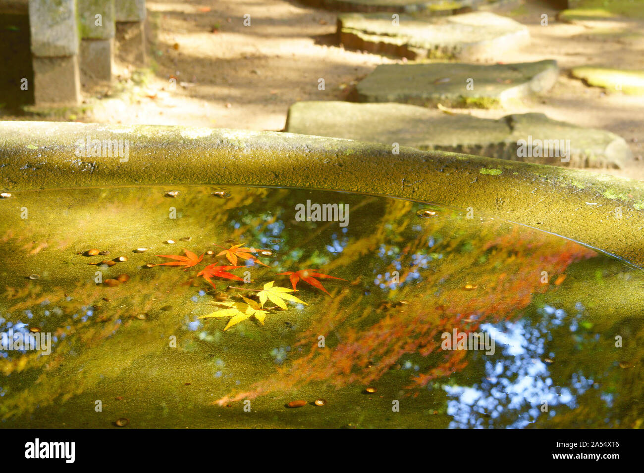 Japanese hand washing bowl Stock Photo - Alamy